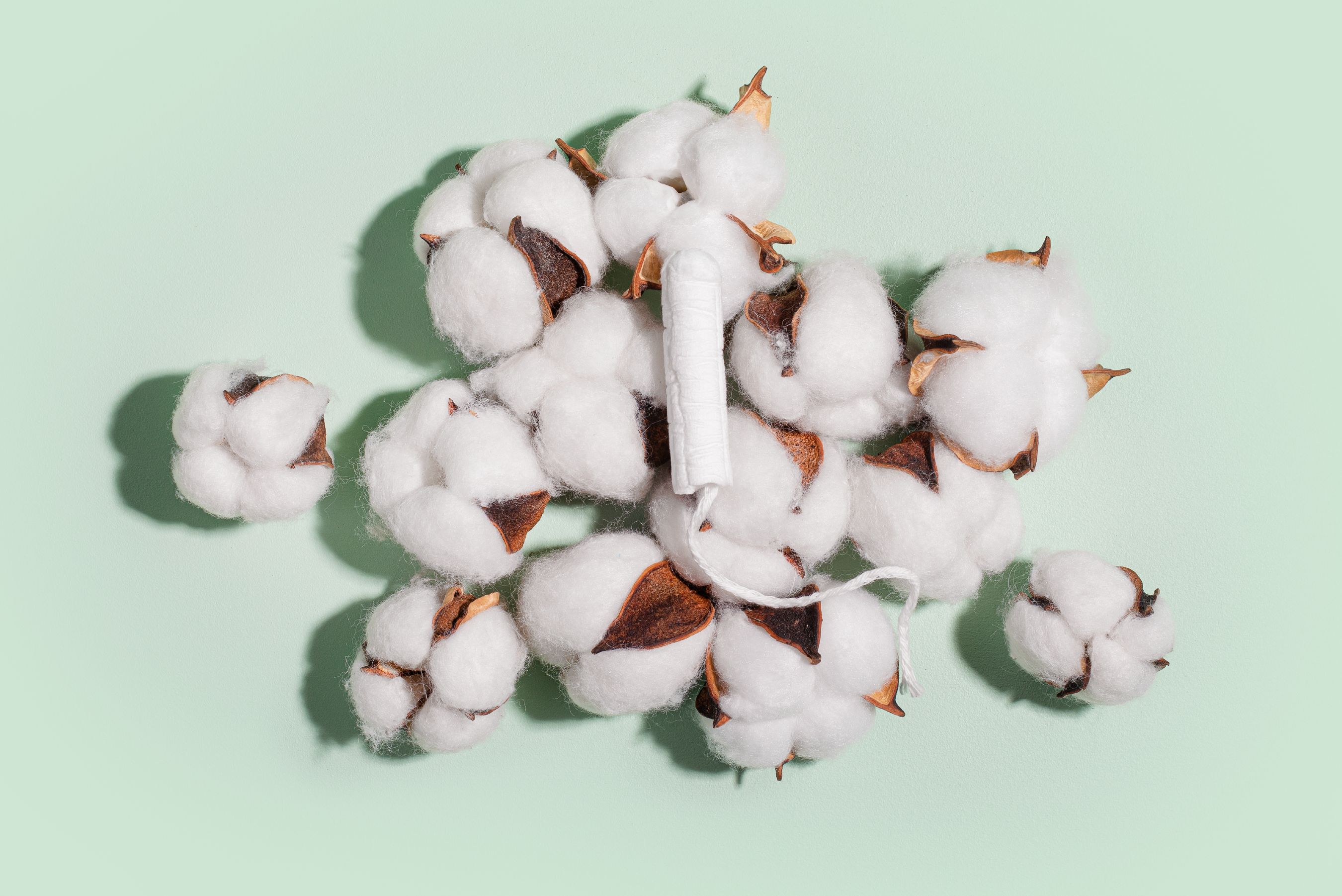 Organic Tampons: Everything You Need to Know – Rael